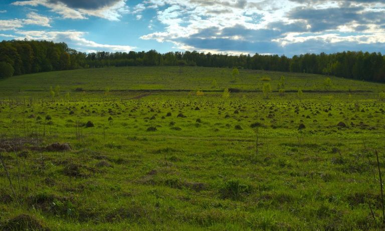 Are You Providing the Right Environment for Success? - Abiprod